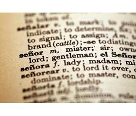 Red Magisterial | How to use a Bilingual Dictionary?